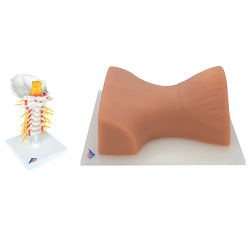 Cervical Spinal Injection Set