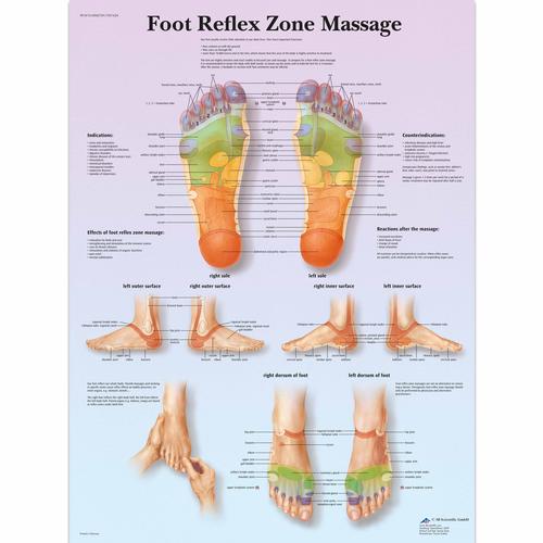 Foot Reflex Zone Massage Chart - 4006729 | TENSnet.com
