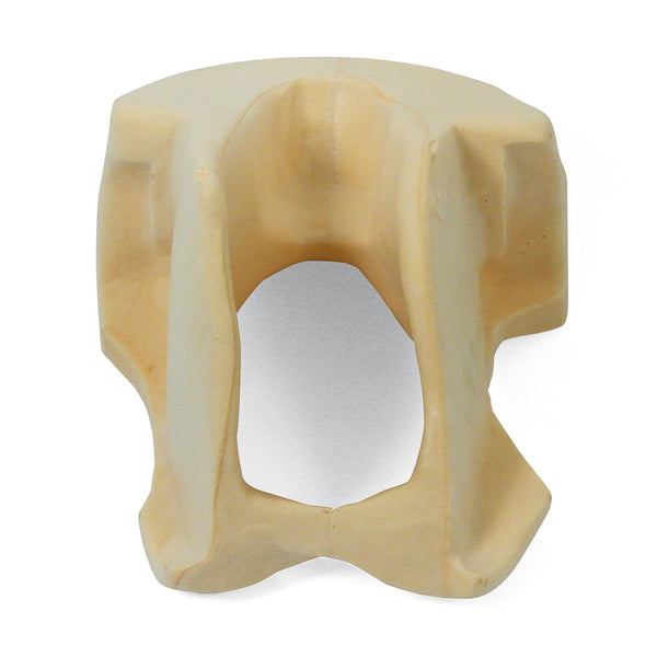 Spare foam core for SIMone P80 - 1009486 | TENSnet.com