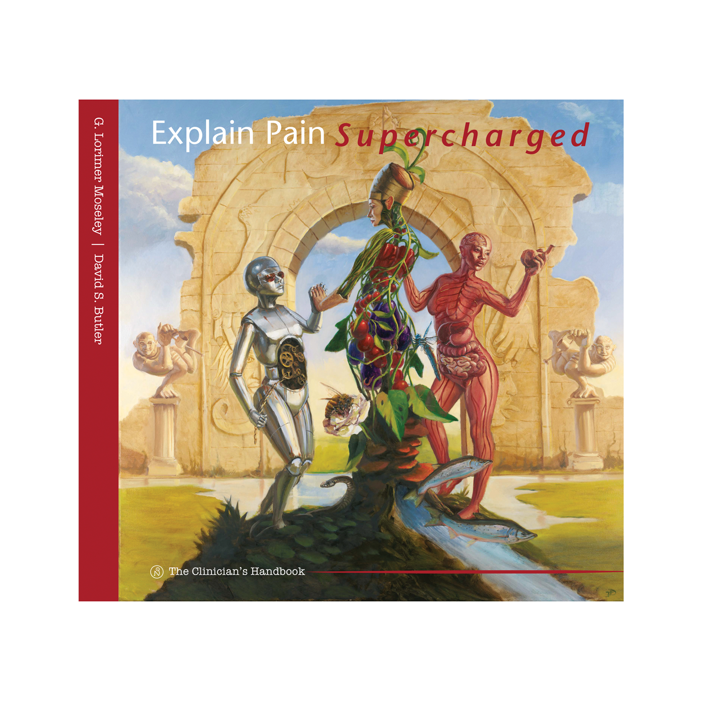 Explain Pain Supercharged
