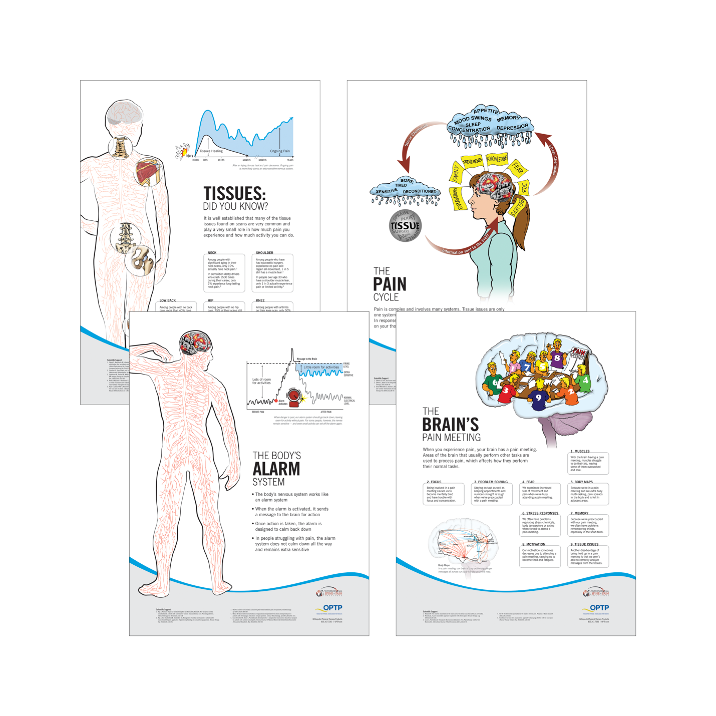 Pain Neuroscience Posters