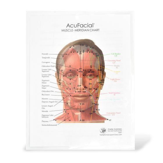 AcuFacial Muscle-Meridian Chart